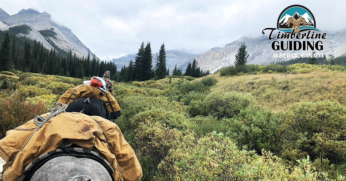Contact Us - Timberline Guiding