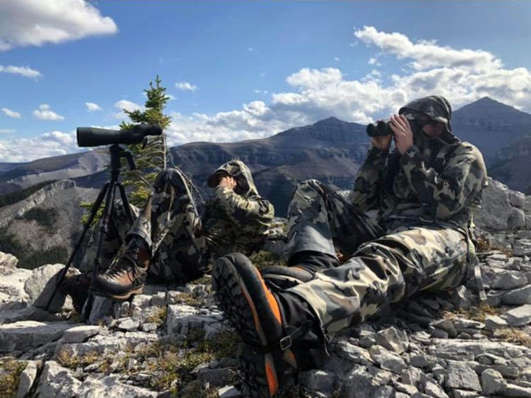 Bighorn Sheep Hunting Outfitters Alberta Canada - 14 Day Exciting ...